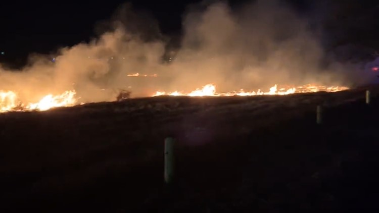Austin Fire responds to brush fire near Travis County Expo Center ...