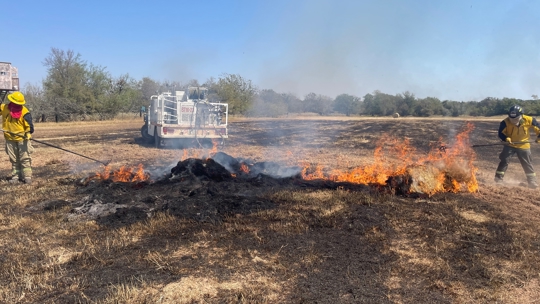 Active burn bans in Central Texas: Texas A&M Forest Service map | kvue.com