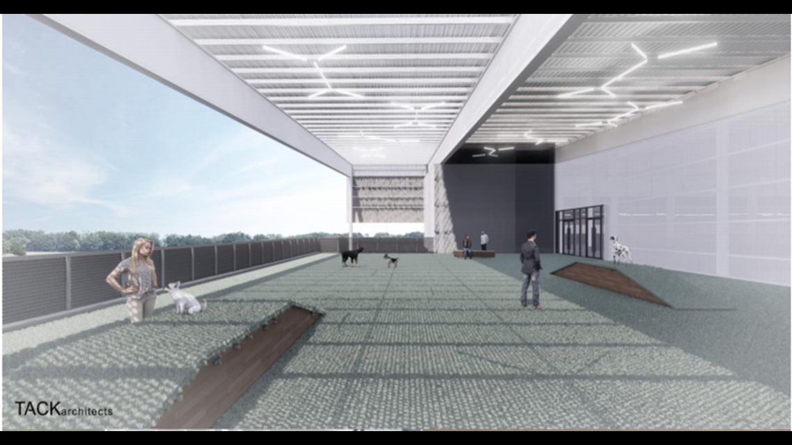 Austin's Canine Commons: Indoor dog park comes to The Domain | kvue.com