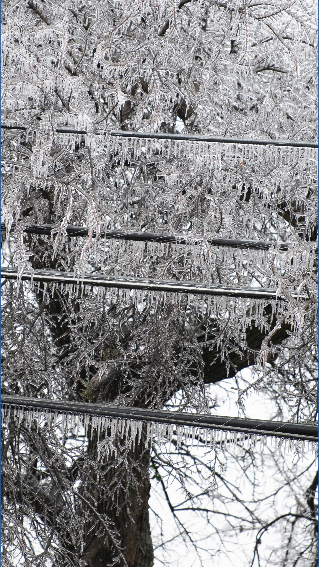 ERCOT CEO shares ways to monitor Texas power grid | kvue.com