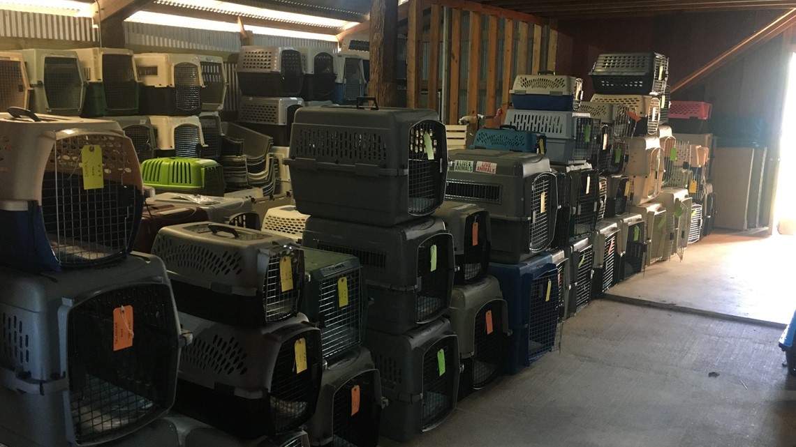 Dozens of dogs scheduled to be put down get a second chance with help ...