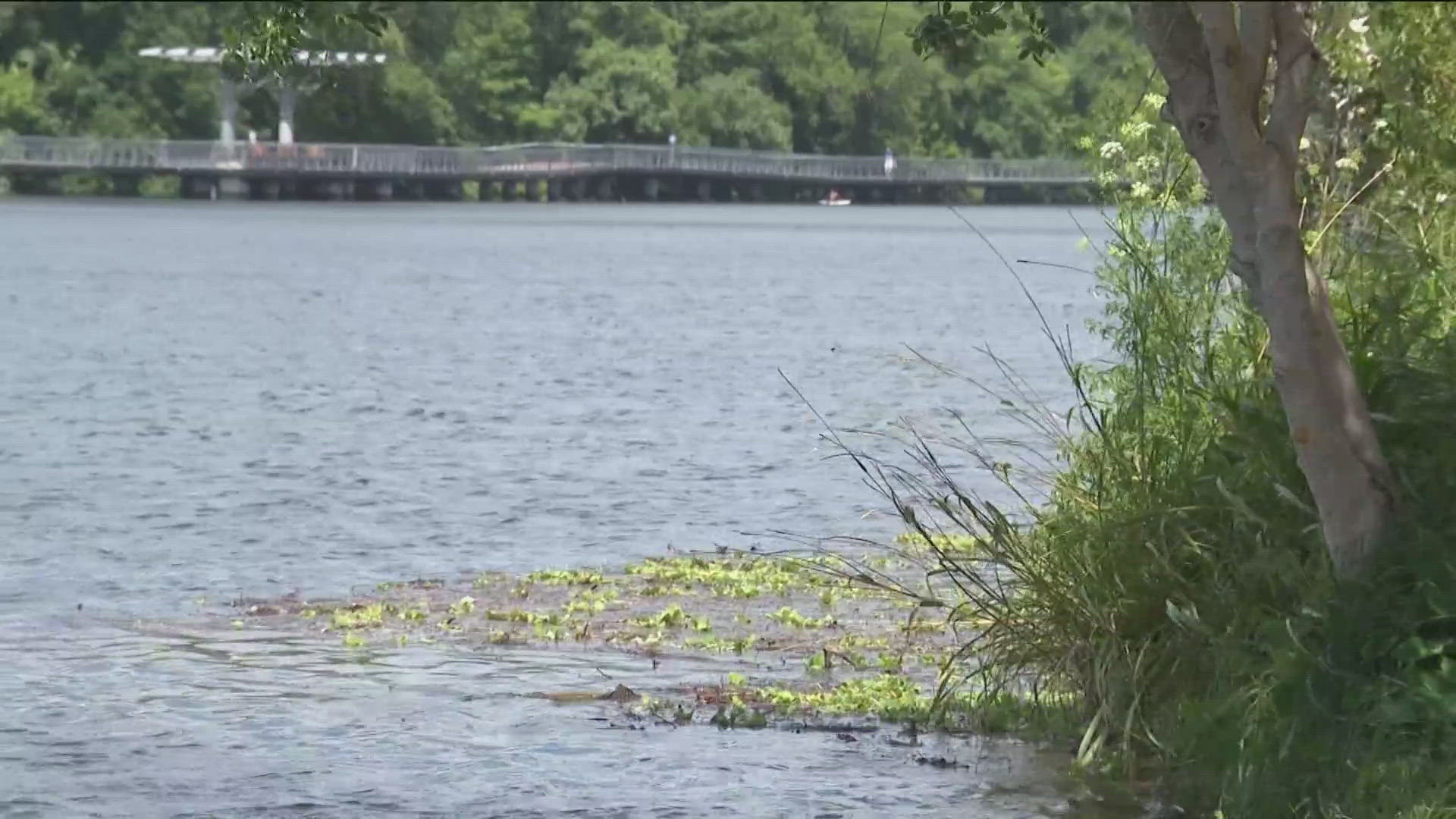 More algae treatments for Lady Bird Lake set for Monday | kvue.com