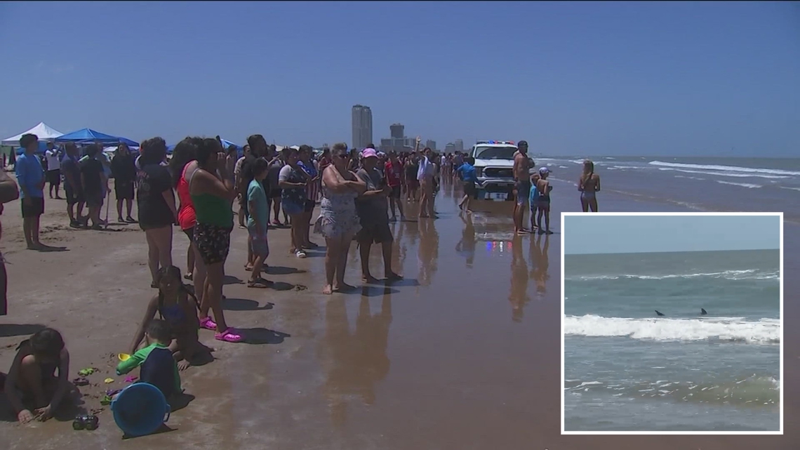 Shark attack leaves several people hurt along Texas coast | kvue.com