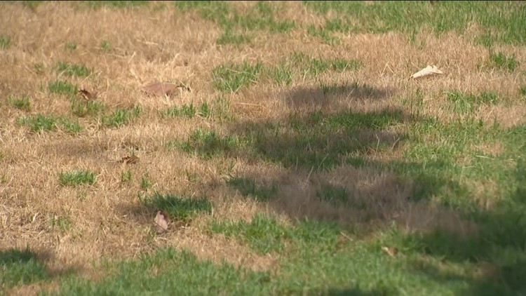 Texas Supreme Court halts enforcement of Austin dine-in curfew | kvue.com