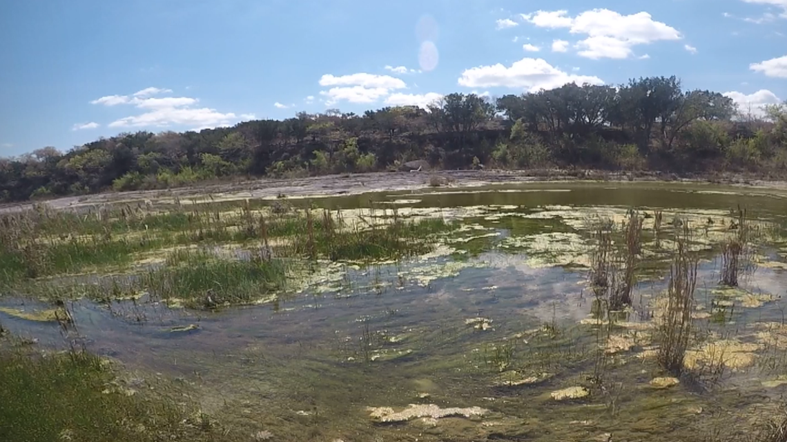 Algae infestation is causing an upset among residents along the Blanco ...