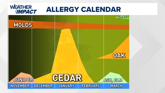 Central Texas allergies: Cedar returns to KVUE allergy count | kvue.com