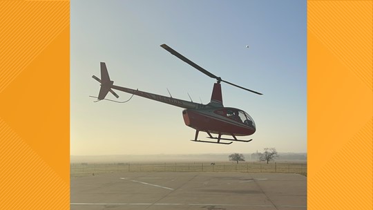 Schwertner Farms has been in the cattle business for almost a century ...