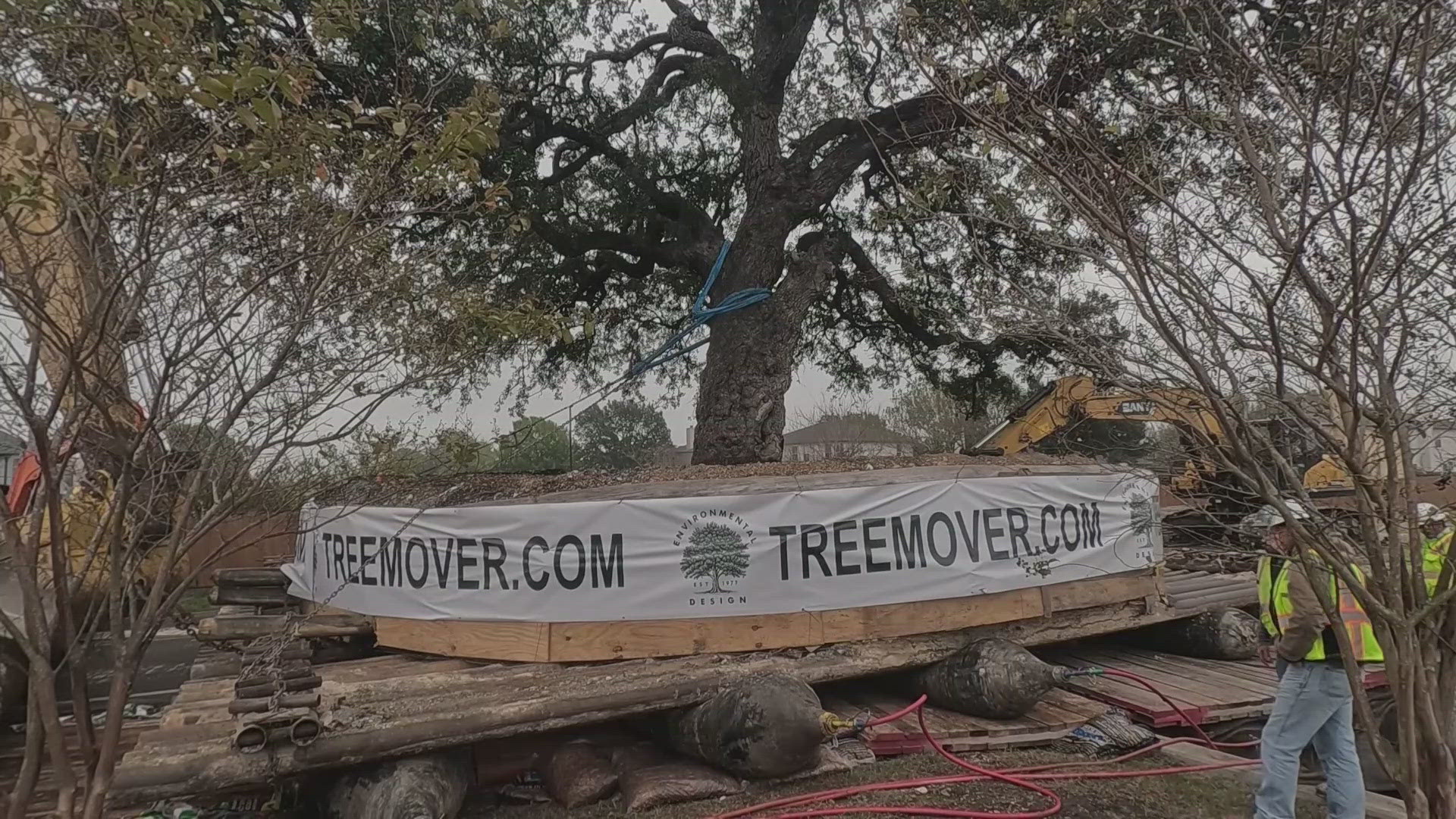 Crews relocate massive heritage oak tree in Kyle to make way for road ...