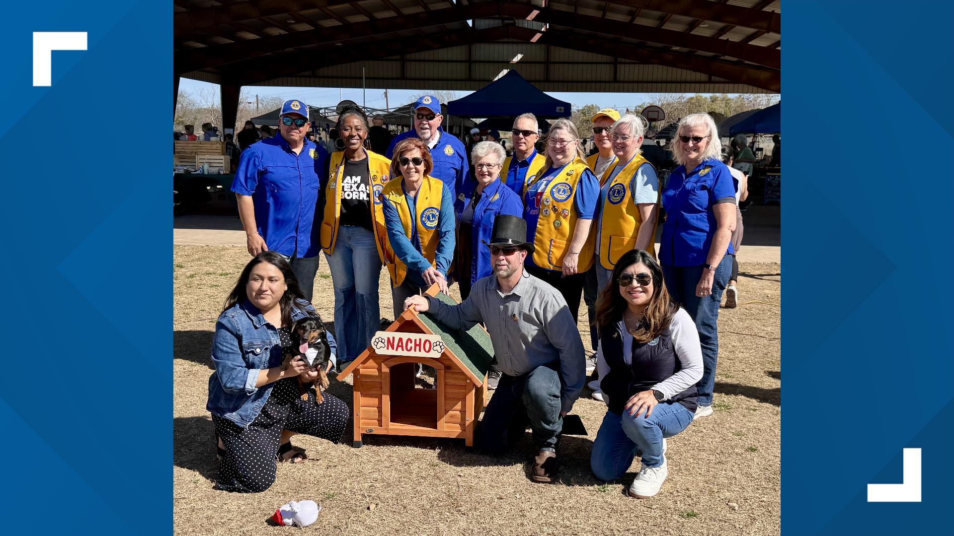 Texas armadillo Bee Cave Bob predicts an early spring | kvue.com