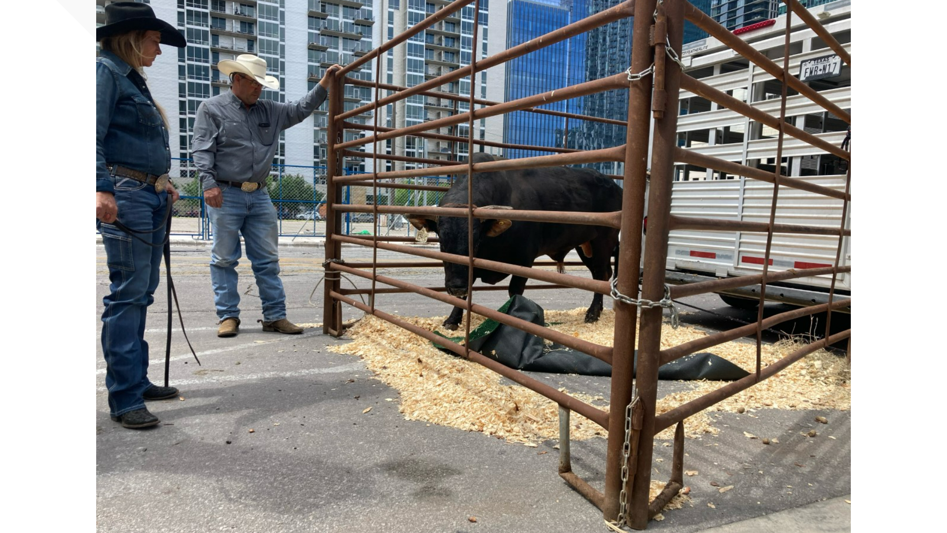 Austin welcomes new pro bull riding team, 'Austin Gamblers' | kvue.com