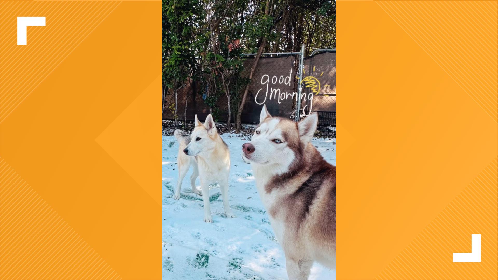 Snow in Austin, Texas: Photos show winter weather across Central Texas ...