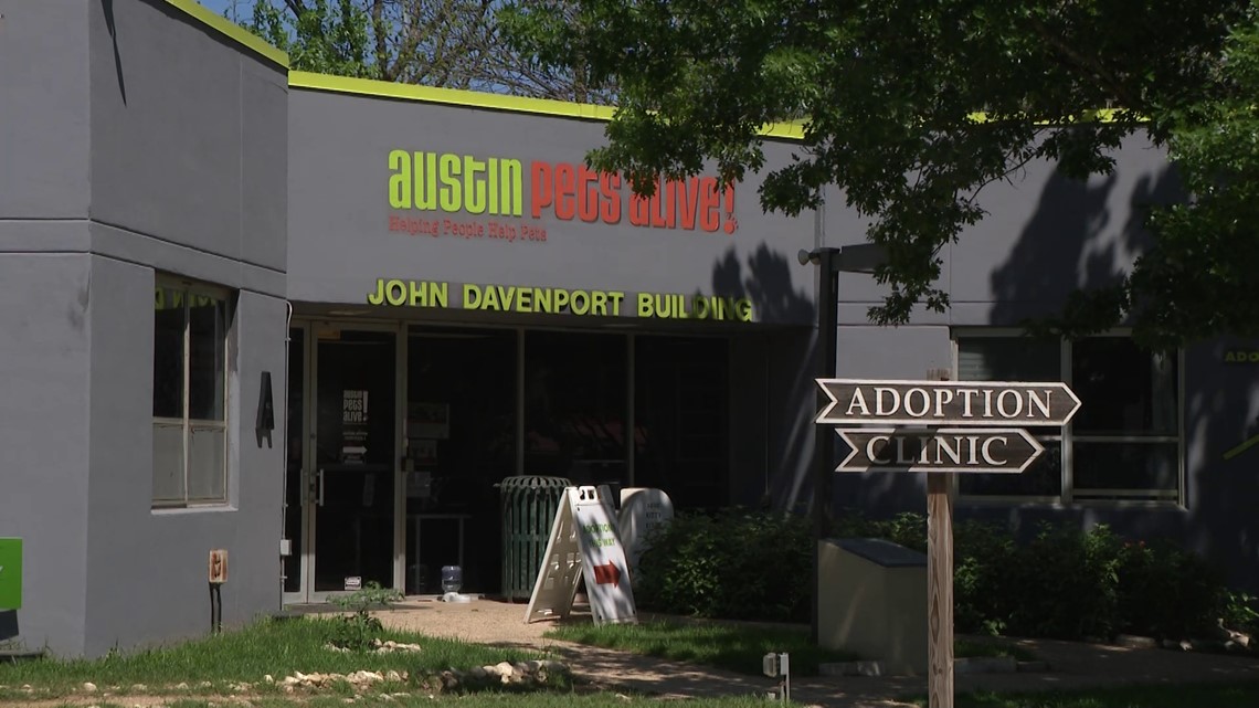 Austin Pets Alive! workers to become largest animal shelter union ...