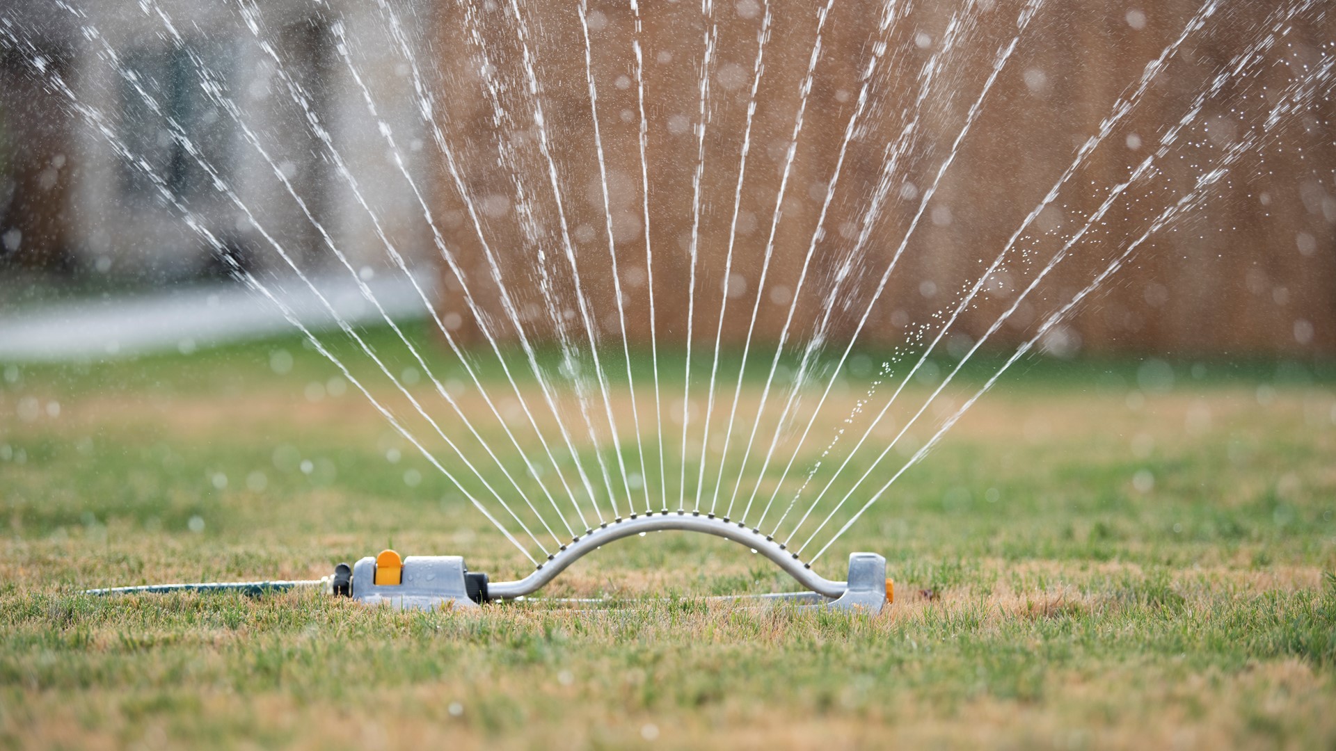 Cerebral Palsy won't slow down Reese Ramirez's love for baseball | kvue.com