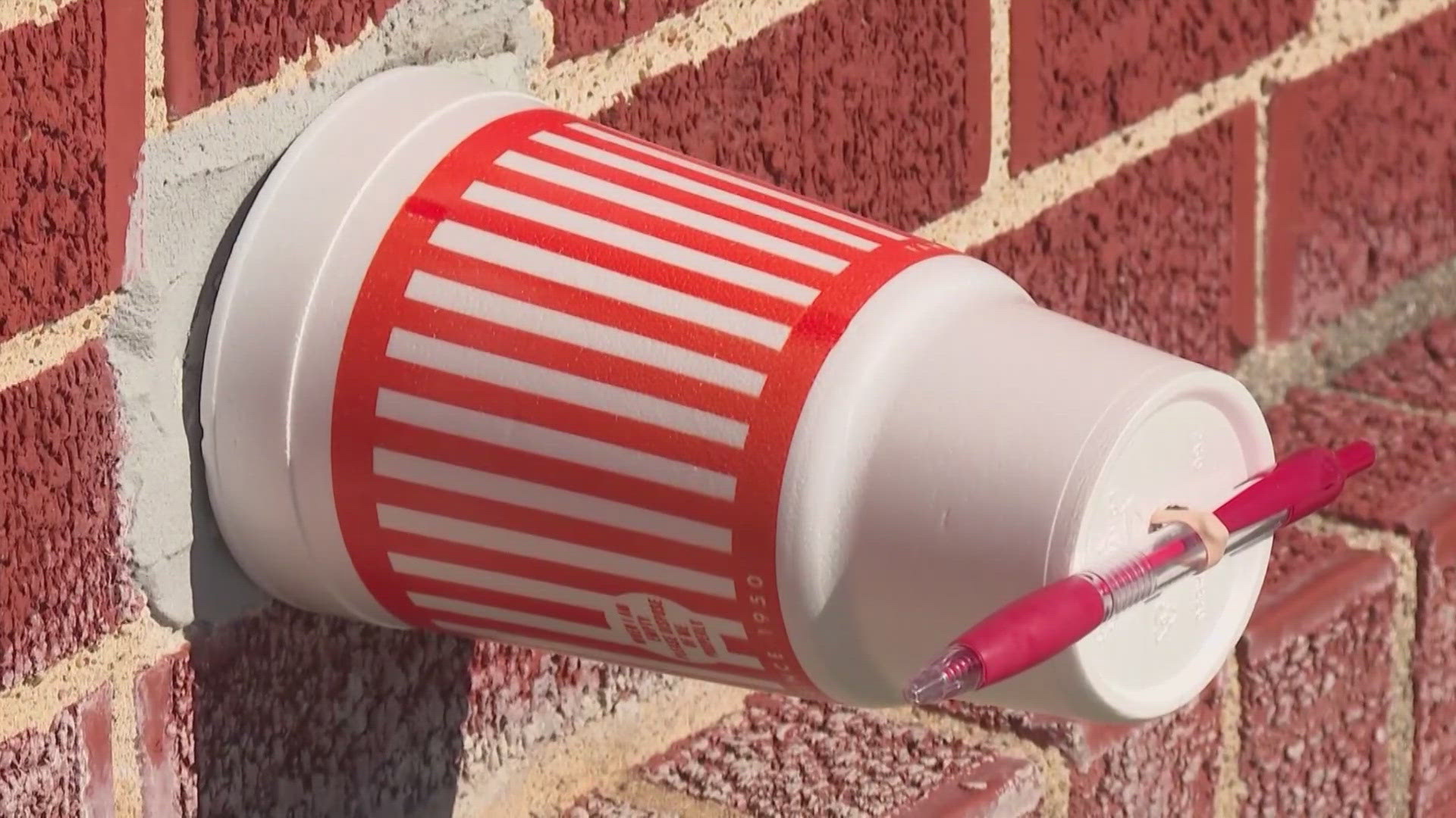 How to use a Whataburger cup to protect your pipes during winter ...