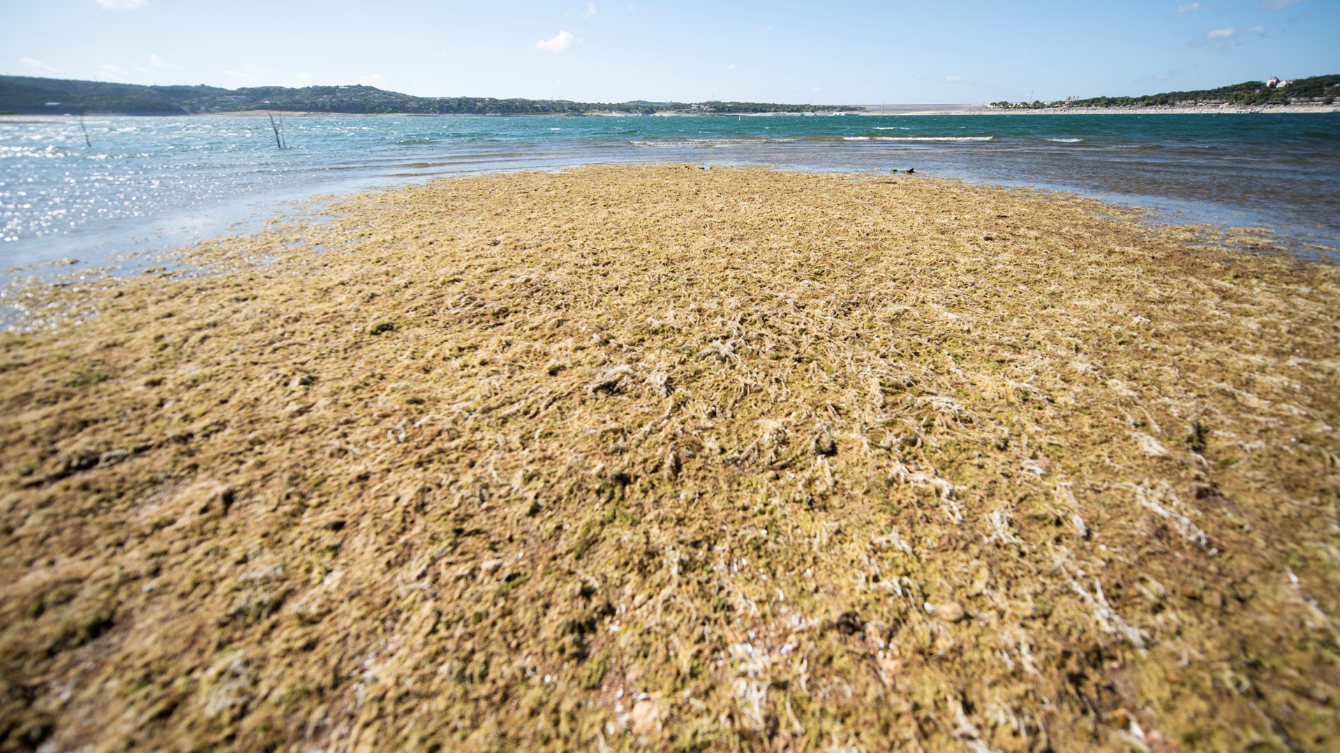 As July heat breaks records, Lake Travis water levels continue to drop ...
