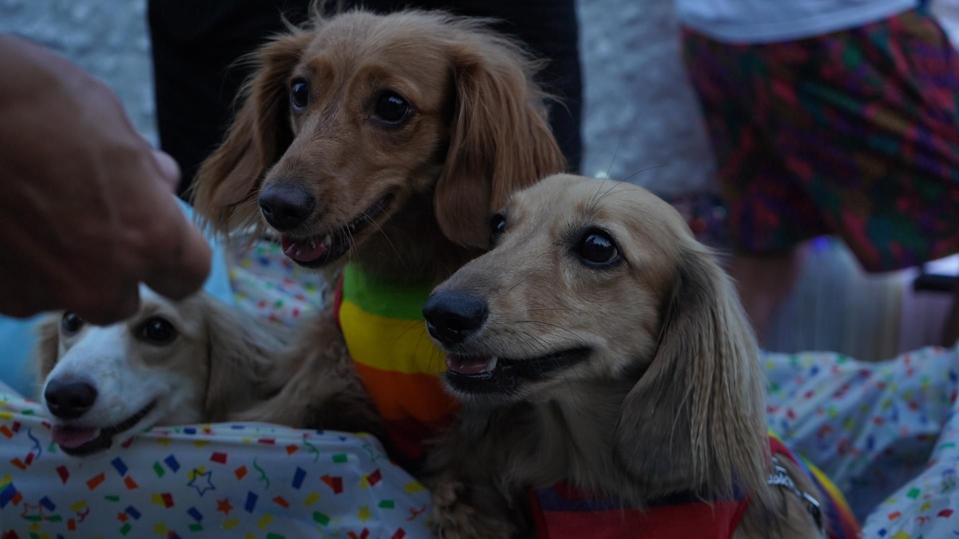 Austin holds 2024 Pride celebration | kvue.com