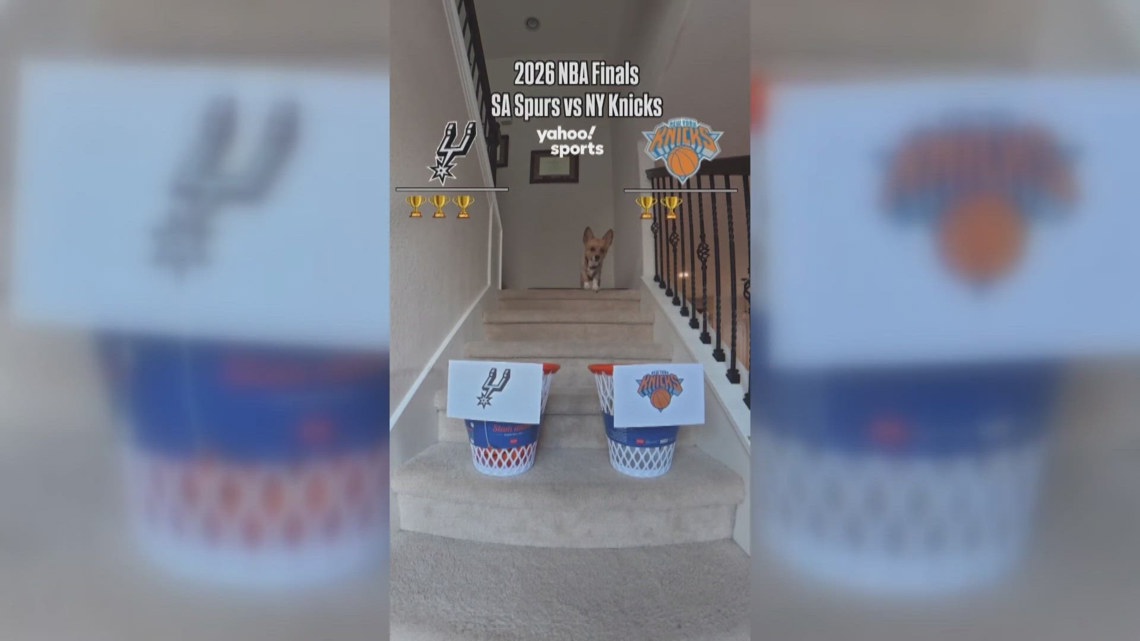 NBA finals 2026: Yahoo! Sports corgi picks Spurs in 7 | kvue.com