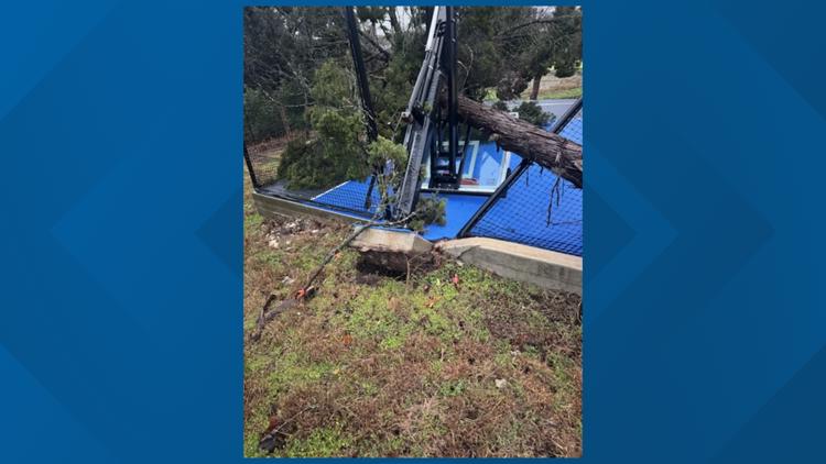 Rainfall, heavy winds impact parts of Austin during storm | kvue.com