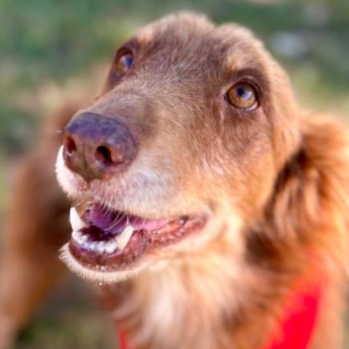 Here's how the pardon process works in Texas | kvue.com