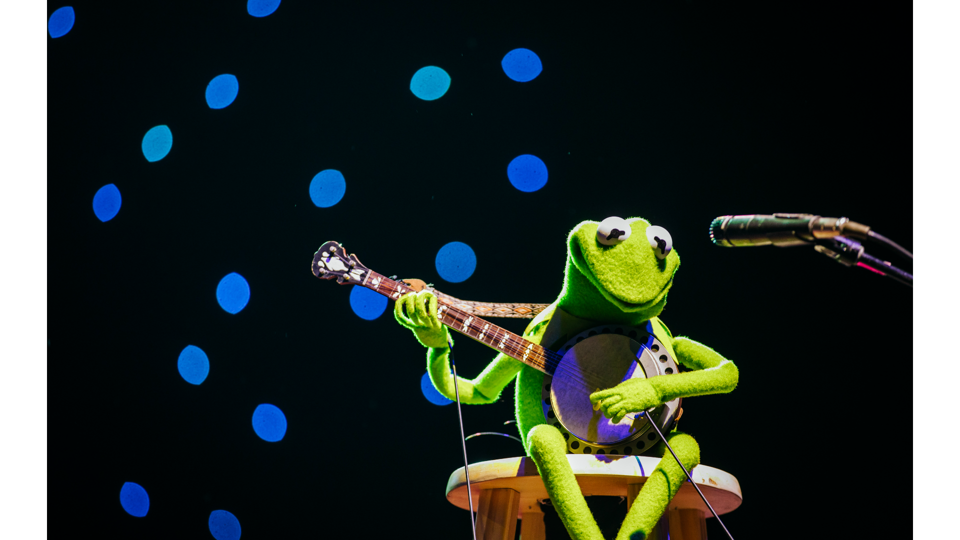 PHOTOS: Willie Nelson, Kermit The Frog duet at Luck Reunion 2024 | kvue.com
