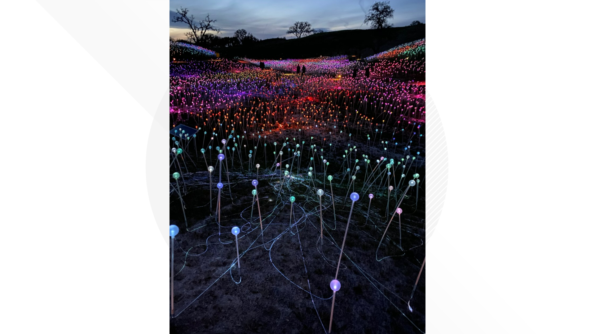 'Field of Light' immersive installation at Lady Bird Johnson Wildflower ...