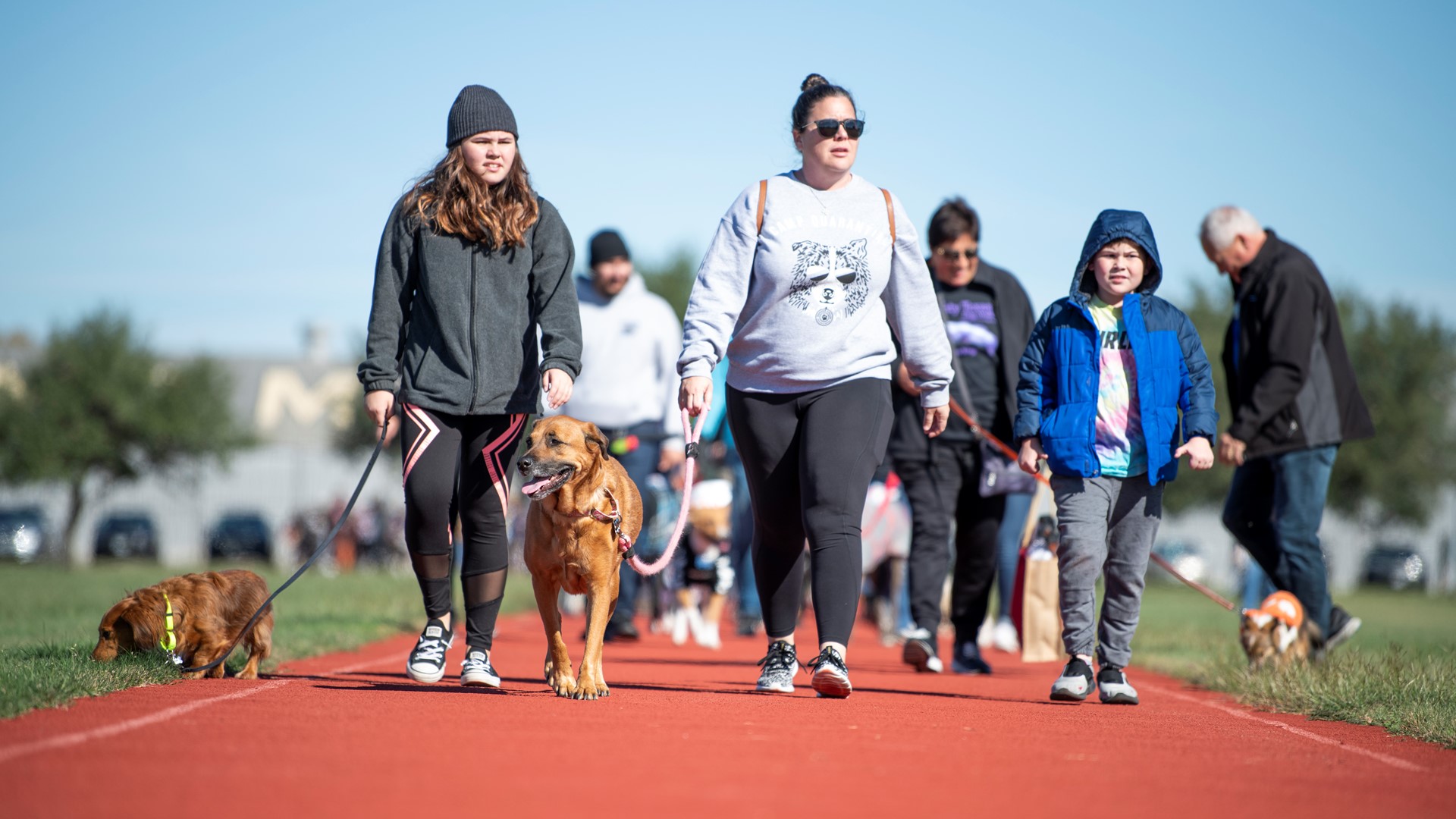 Austin-area pups fetch new world record at Mighty Texas Dog Walk | kvue.com