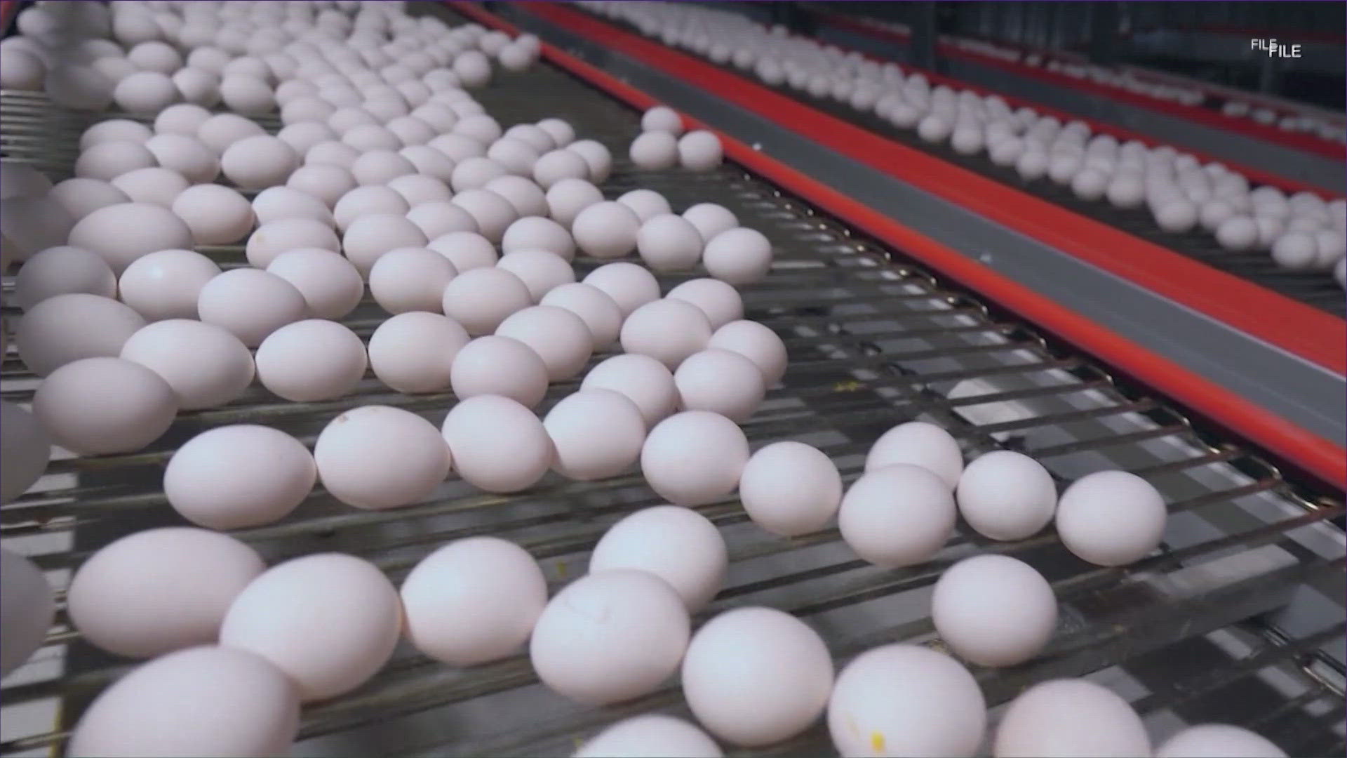 Texas food banks to receive more than 2M eggs after settlement ...