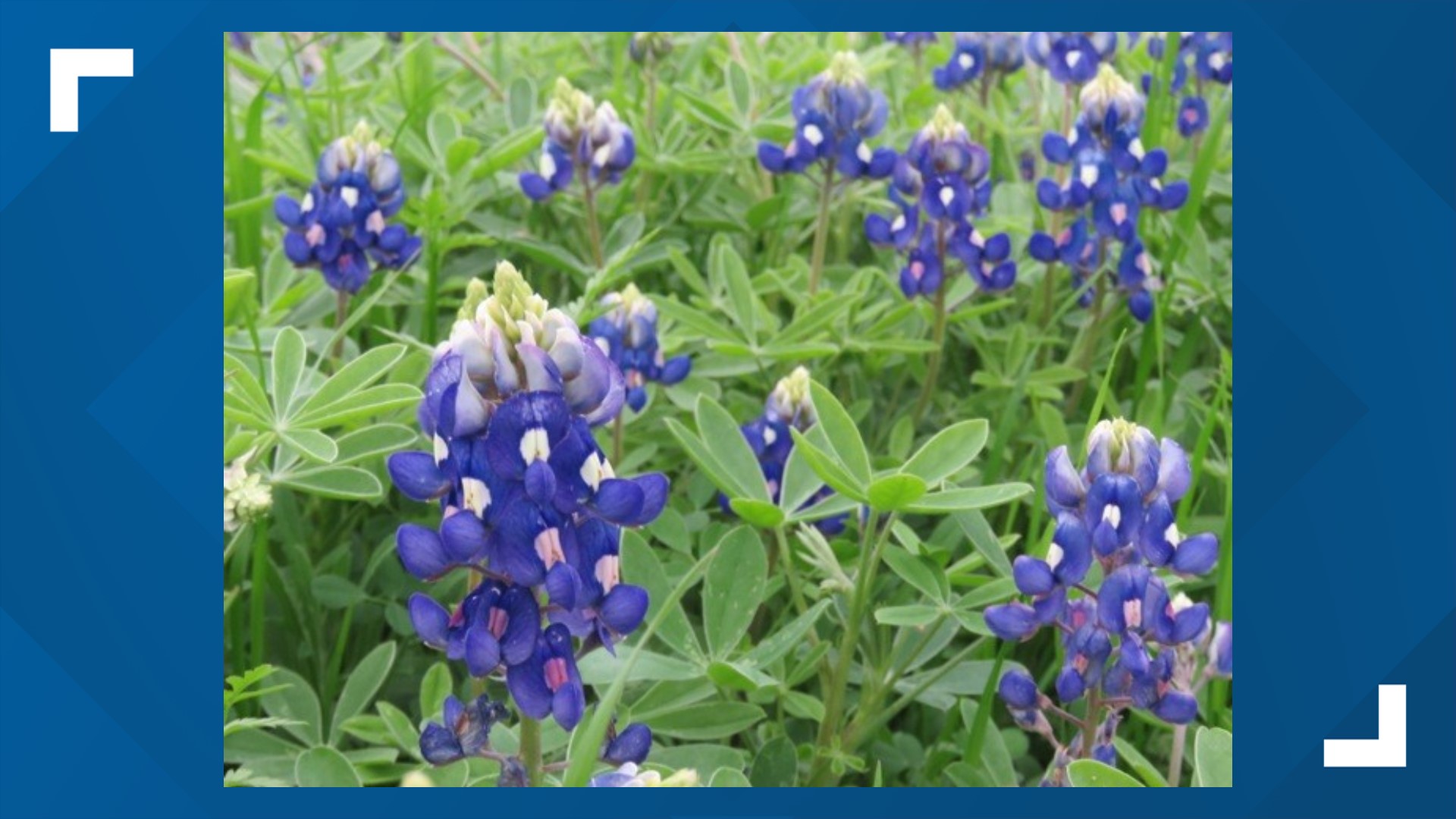 February 2020 Weather Snapshots | kvue.com