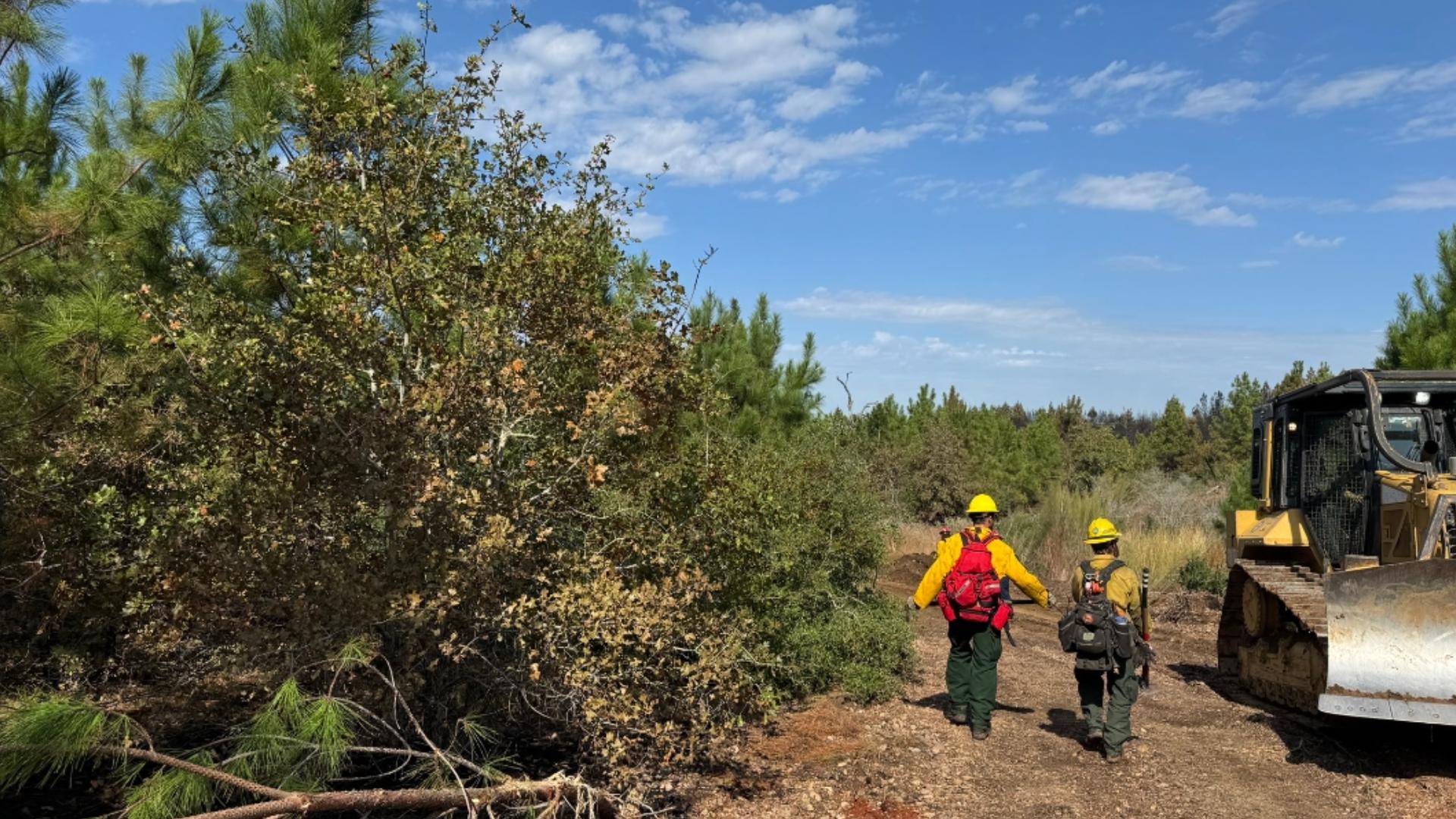 Bee Cave Bob prediction 2022 | kvue.com