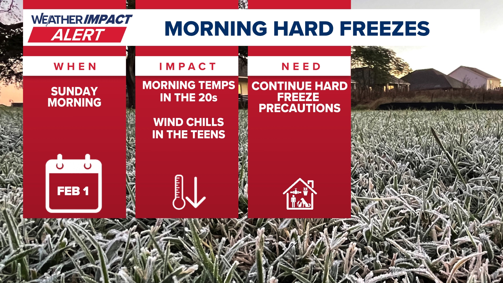 Weather Impact Alert: Hard freeze expected overnight Saturday; Lows ...