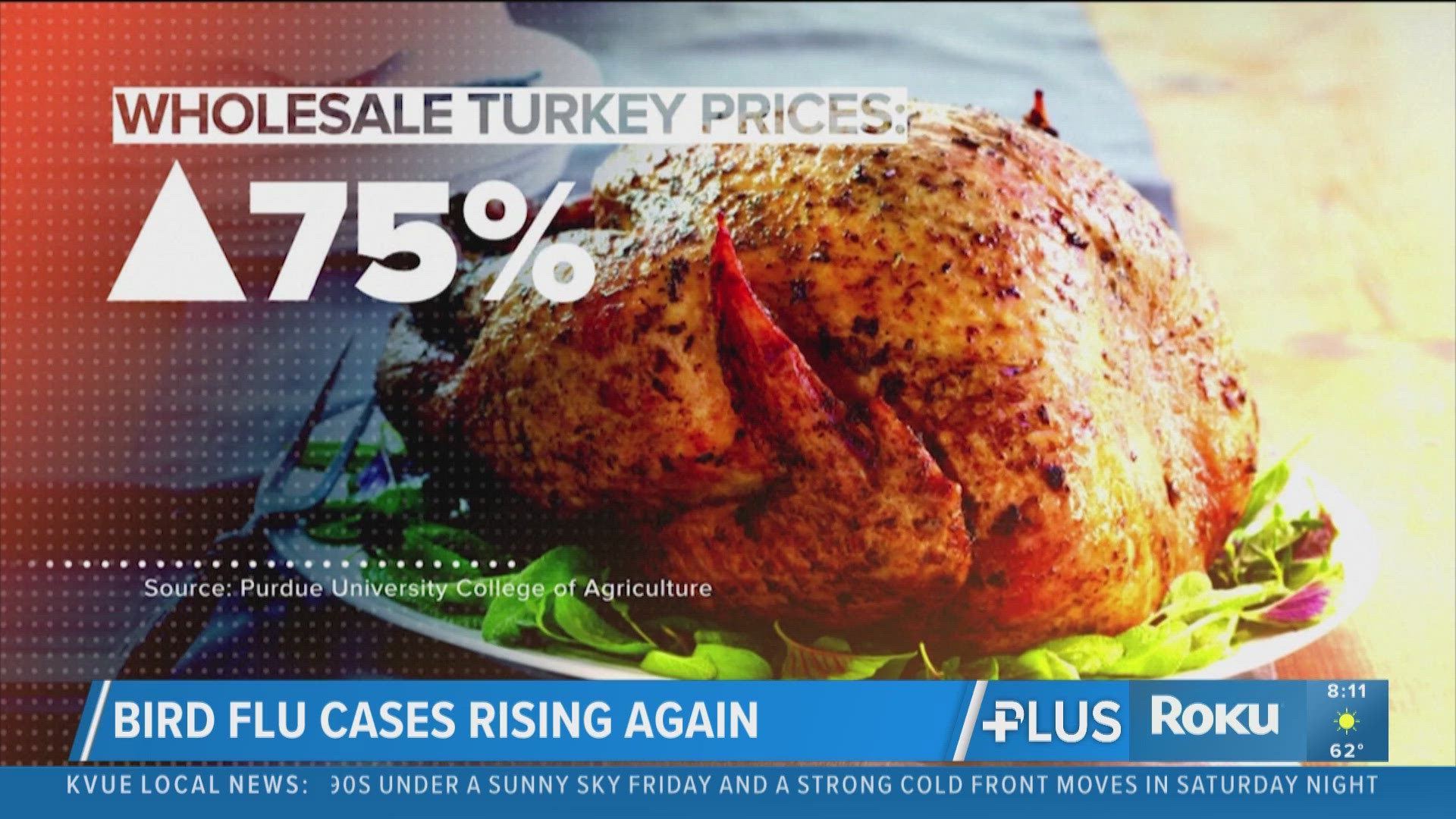 Bird flu cases rising again | kvue.com