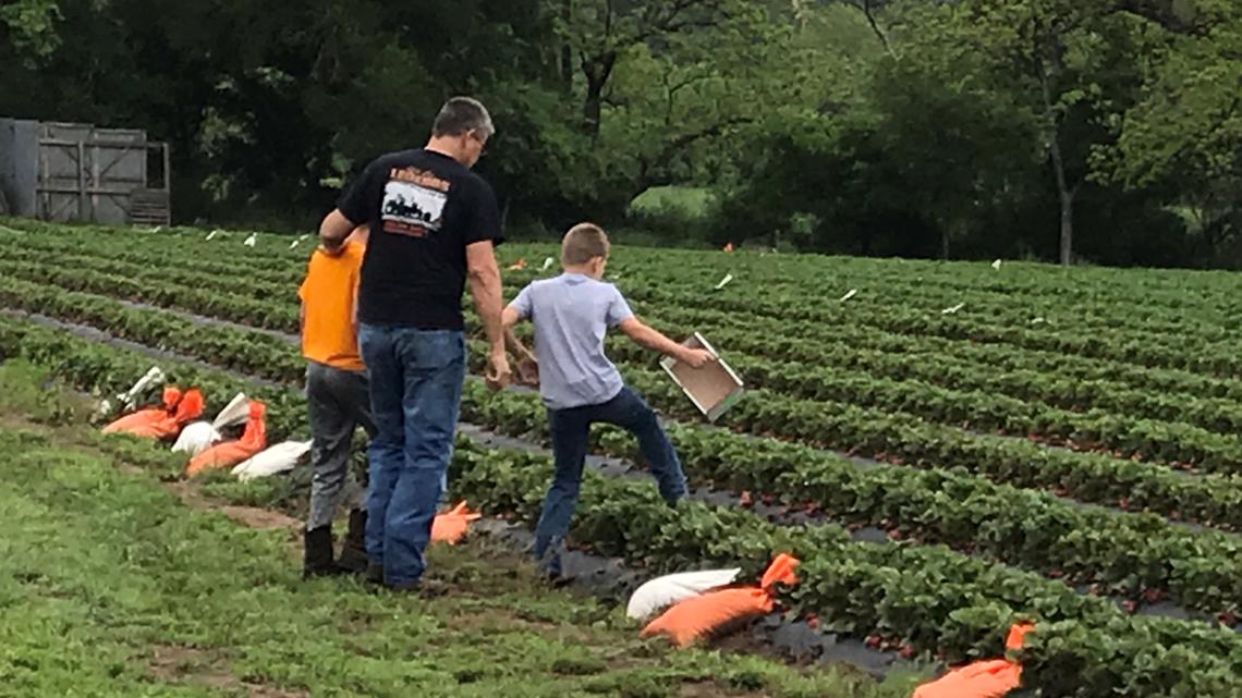 Sweet Berry Farm Marble Falls still open | kvue.com