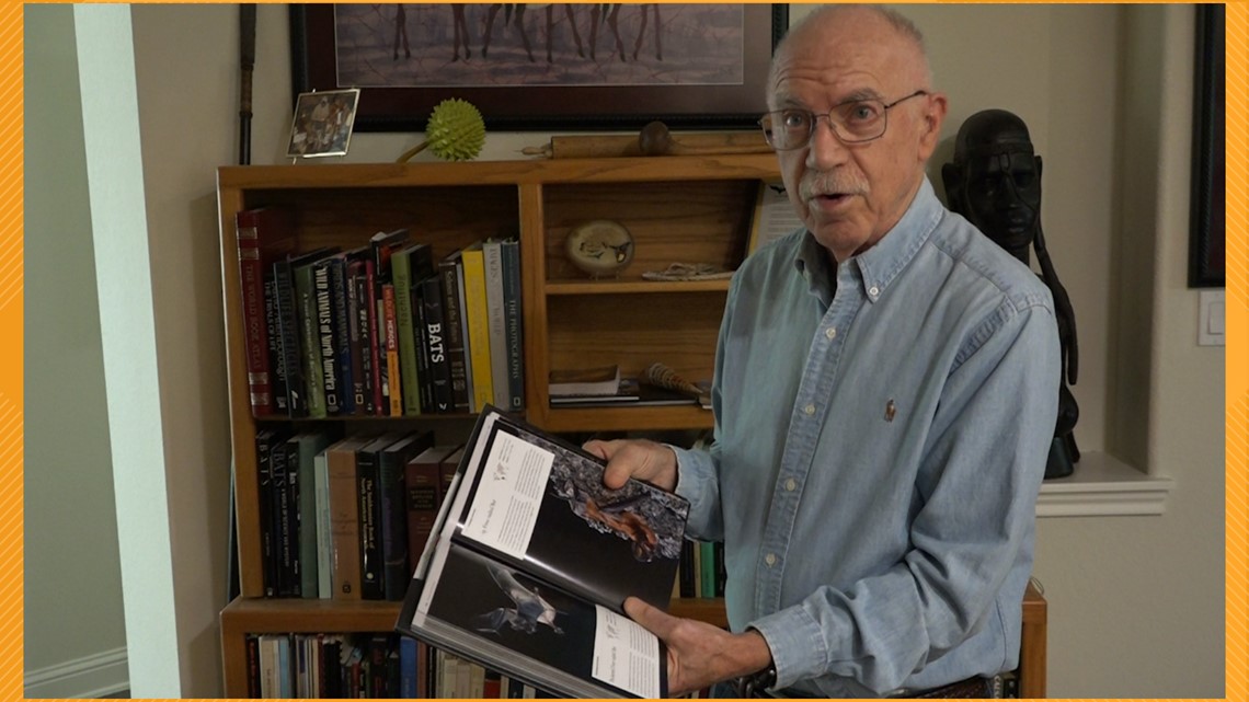 Austin bat expert says a City bat biologist is necessary | kvue.com