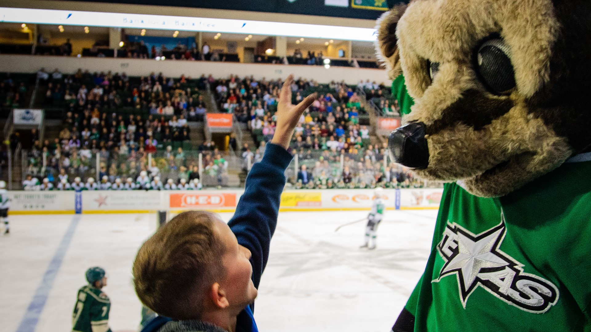 Cedar Park Texas Stars mascot Ringo has one goal | kvue.com
