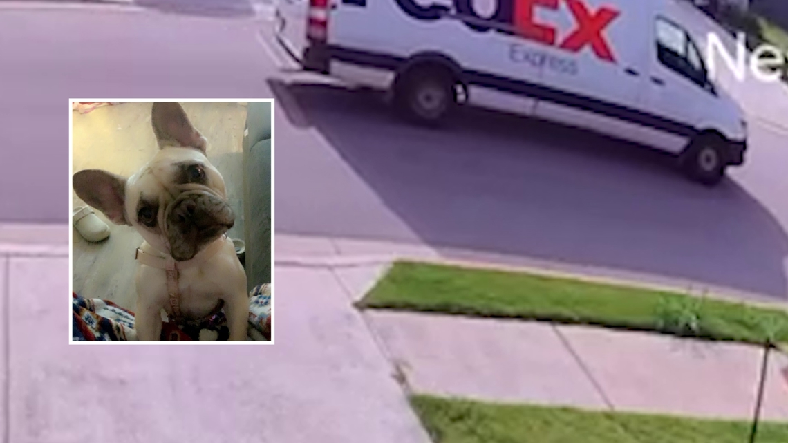 Bastrop couple says FedEx driver hit their dog | kvue.com