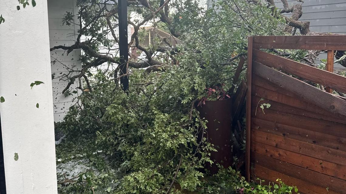 PHOTOS: Severe storms bring damage to the Austin area | kvue.com