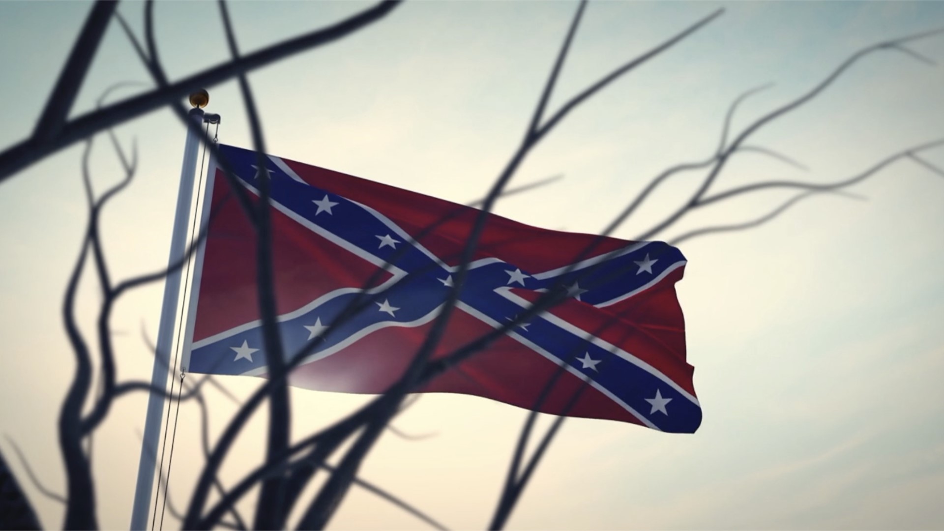 Luke Combs apologizes for appearing with Confederate flags | kvue.com