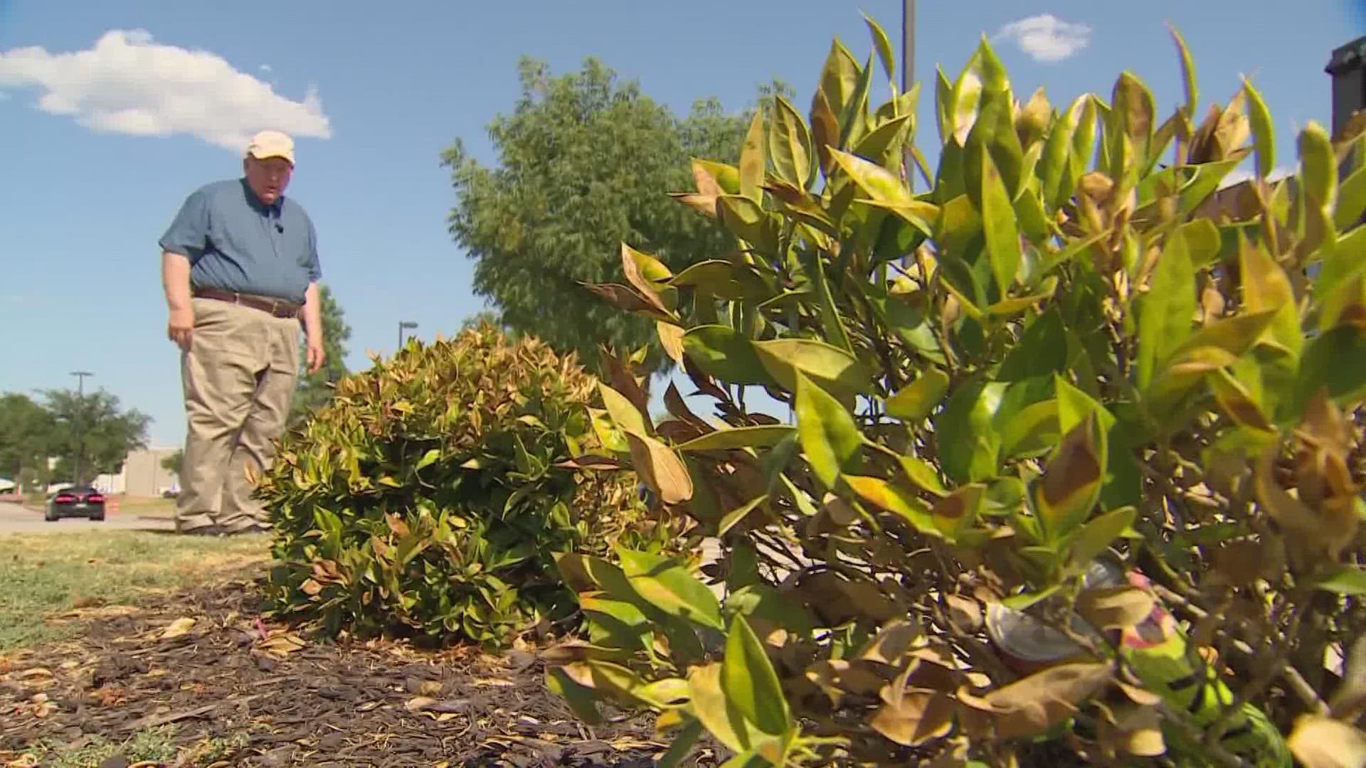 Putting Texas extreme weather into historical perspective | kvue.com