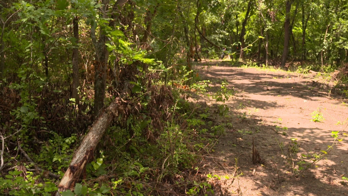 Portions of Spring Creek Forest Preserve wiped out by mistake | kvue.com