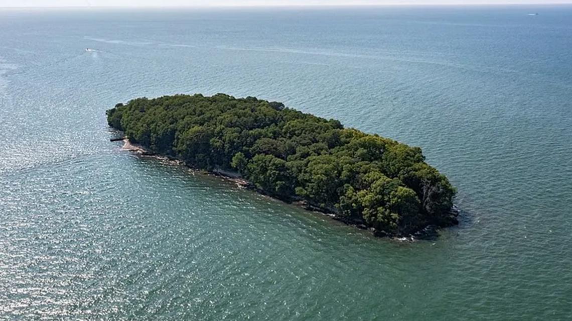 Northwest Ohio private island for sale for $5,000,000 | kvue.com