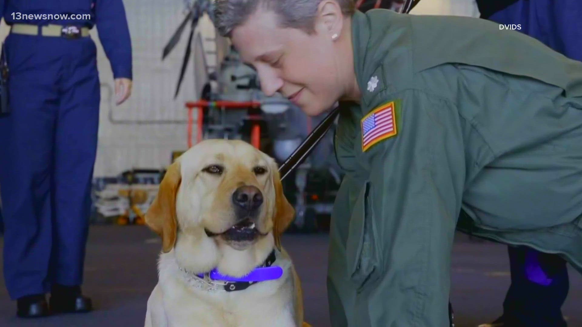 USS Gerald R. Ford's Facility Dog Sage welcome home | kvue.com