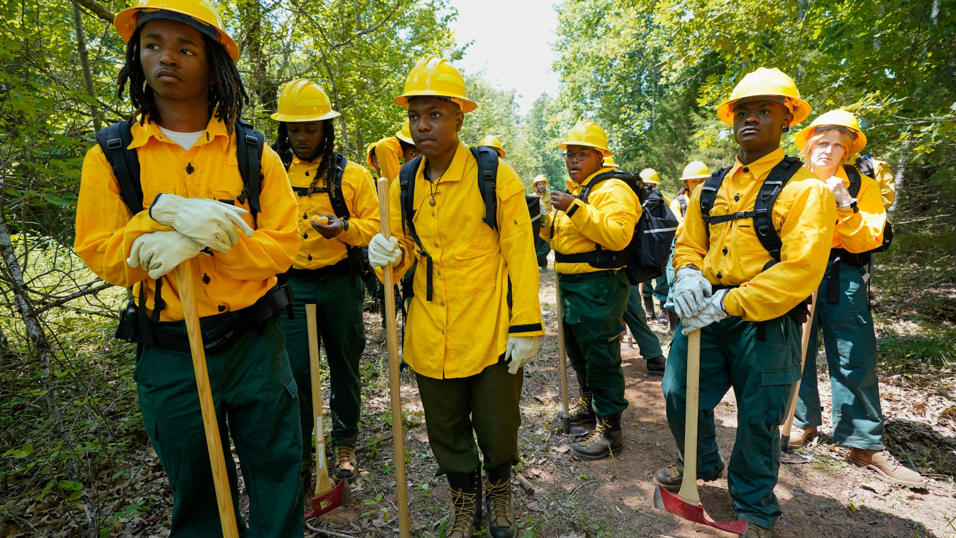 US Forest Service and HBCUs unite to boost diversity in wildland ...